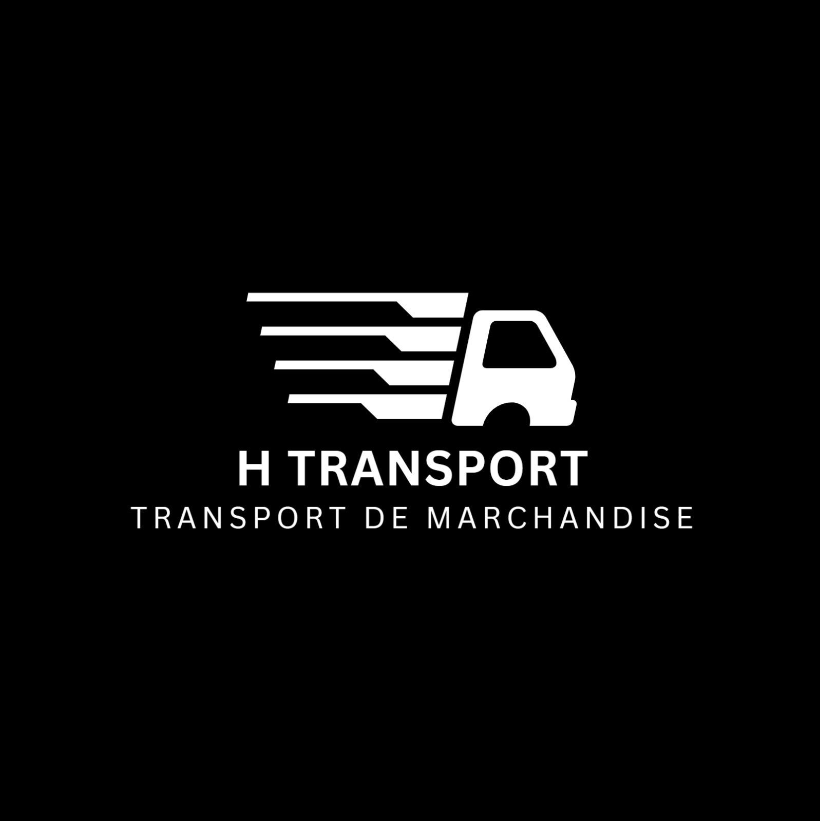 H TRANSPORT (H TRANS) — Livraison & Logistique Dernier Kilomètre à Lyon ...